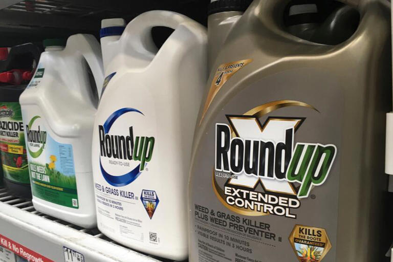 Supreme Court may block thousands of lawsuits over Monsanto's weed killer