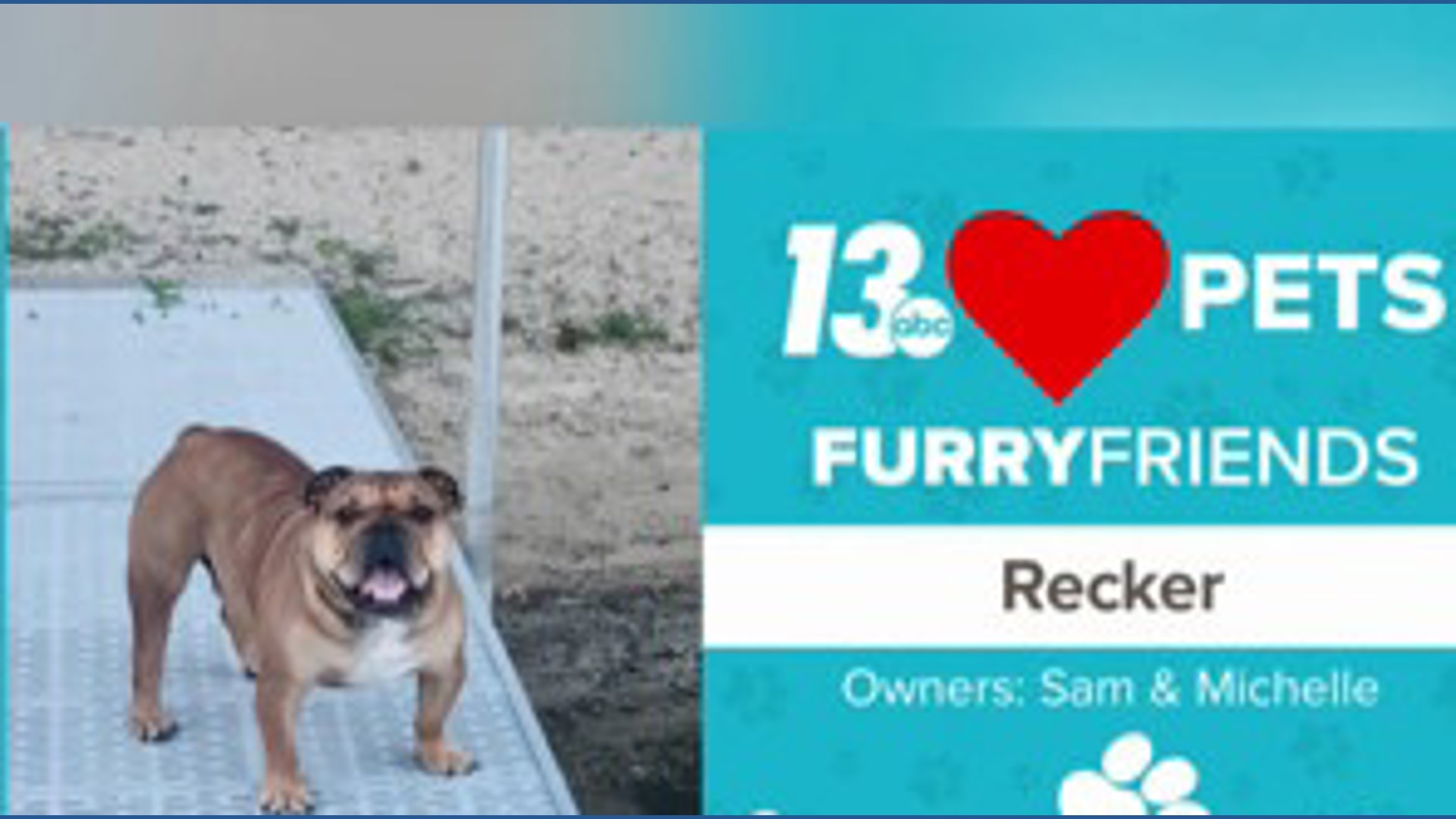 Buff Friday furry friend and your 7-day outlook