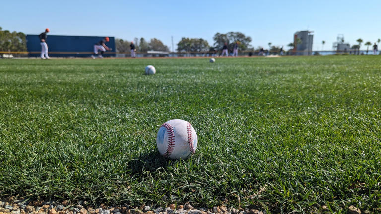 Detroit native signs minor-league deal with Tigers after years in indy ball