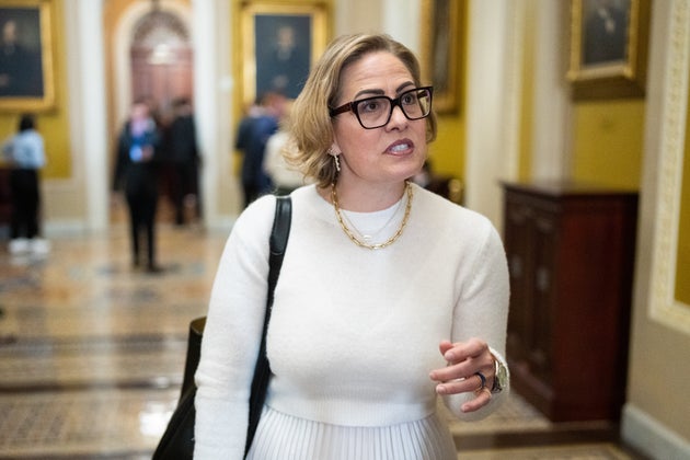 'Intentional, calculated, relentless': Kyrsten Sinema 'enticed' married ...