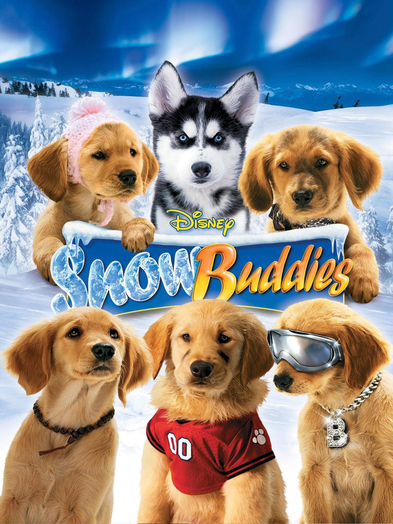 30 winter movies to make a night at home feel extra cozy