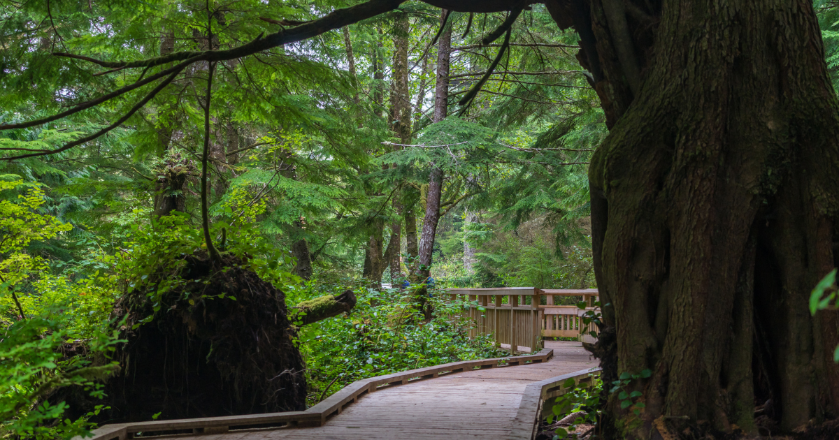 Explore Oregon's stunning coastline via Rockaway Beach's boardwalk trail