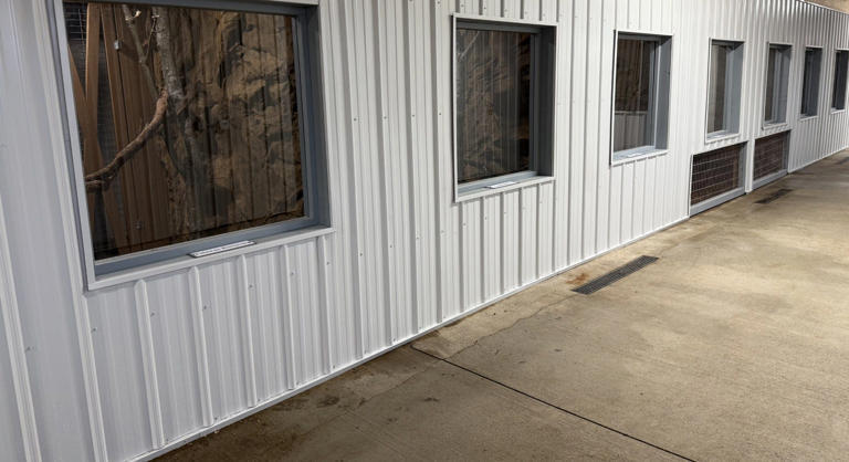 Animal Adventure Park now open year-round with indoor zoo experience