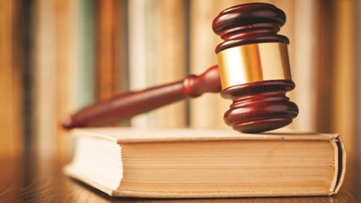 Ex-St. Petersburg police employee pleads guilty to misusing ...