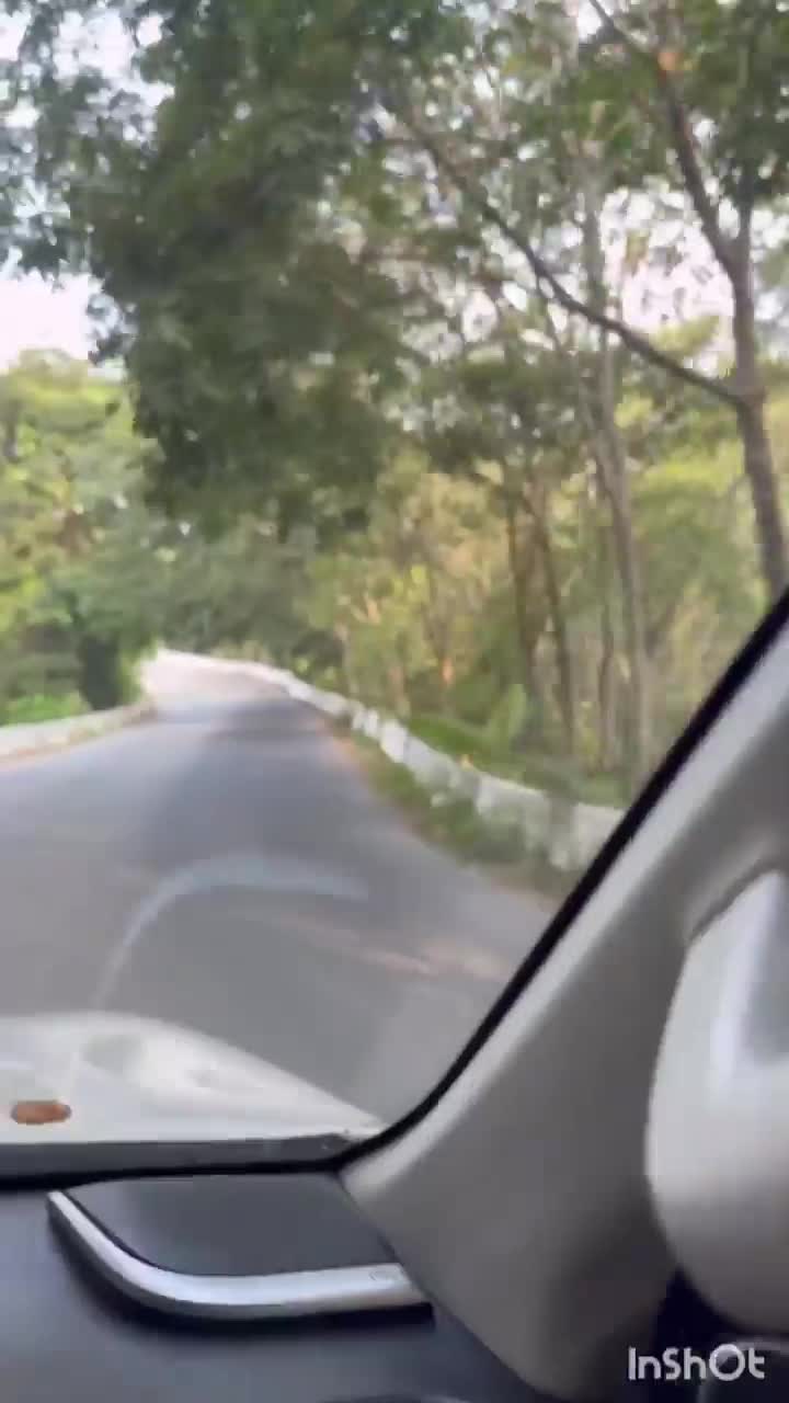 Tim Tszyu and his father Kostya Tszyu in training camp