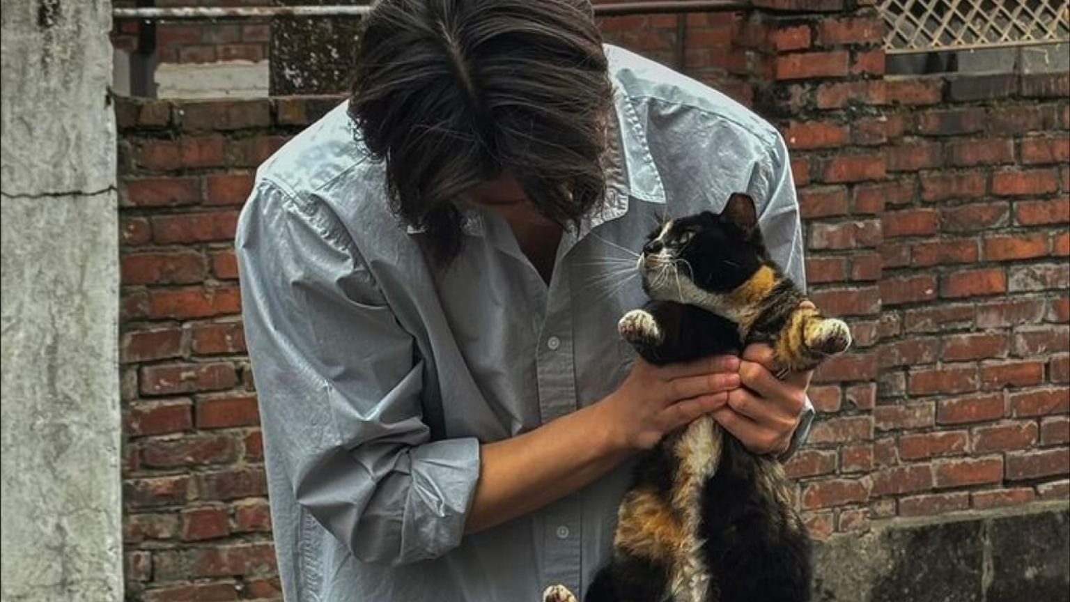 Zo laat je je kat zien dat je van hen houdt