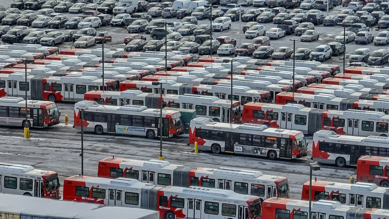 OC Transpo temporarily cuts 255 trips from schedule amid bus shortage