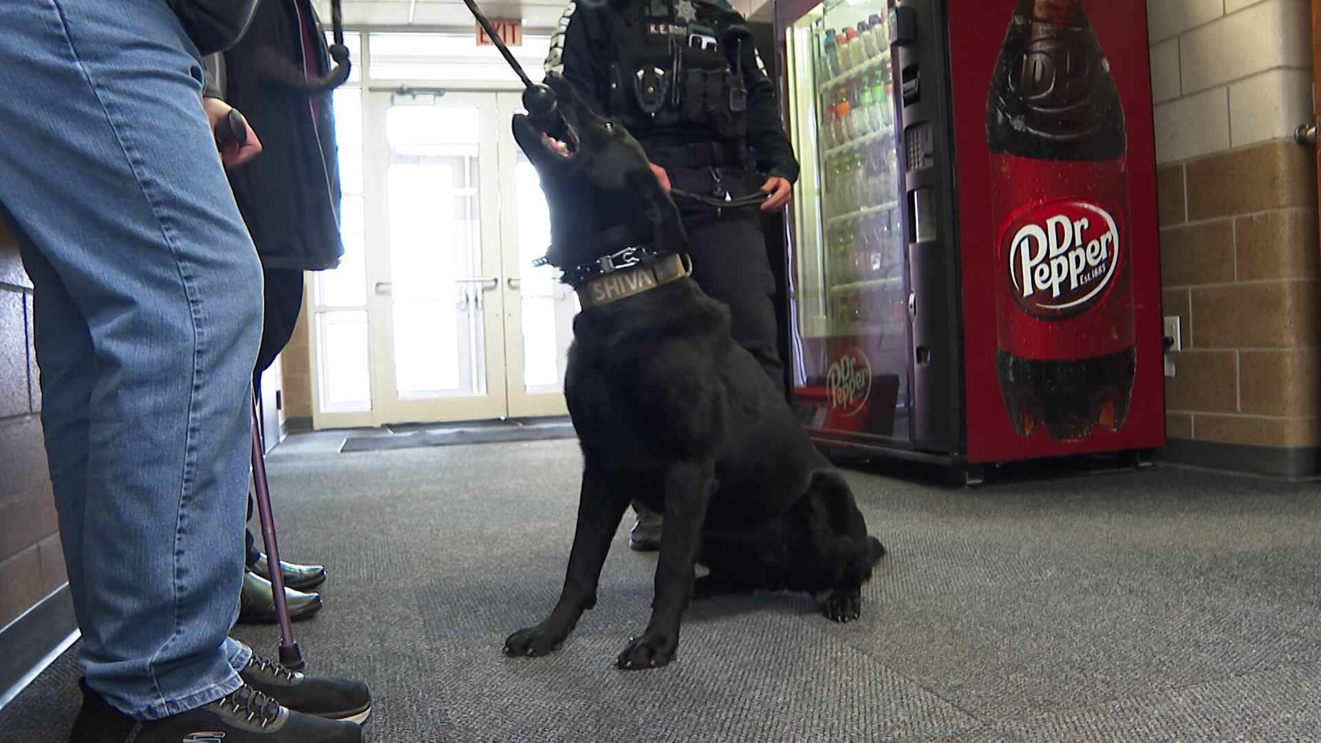 Douglas County Sheriff’s Office, community raises funds for K-9 ...