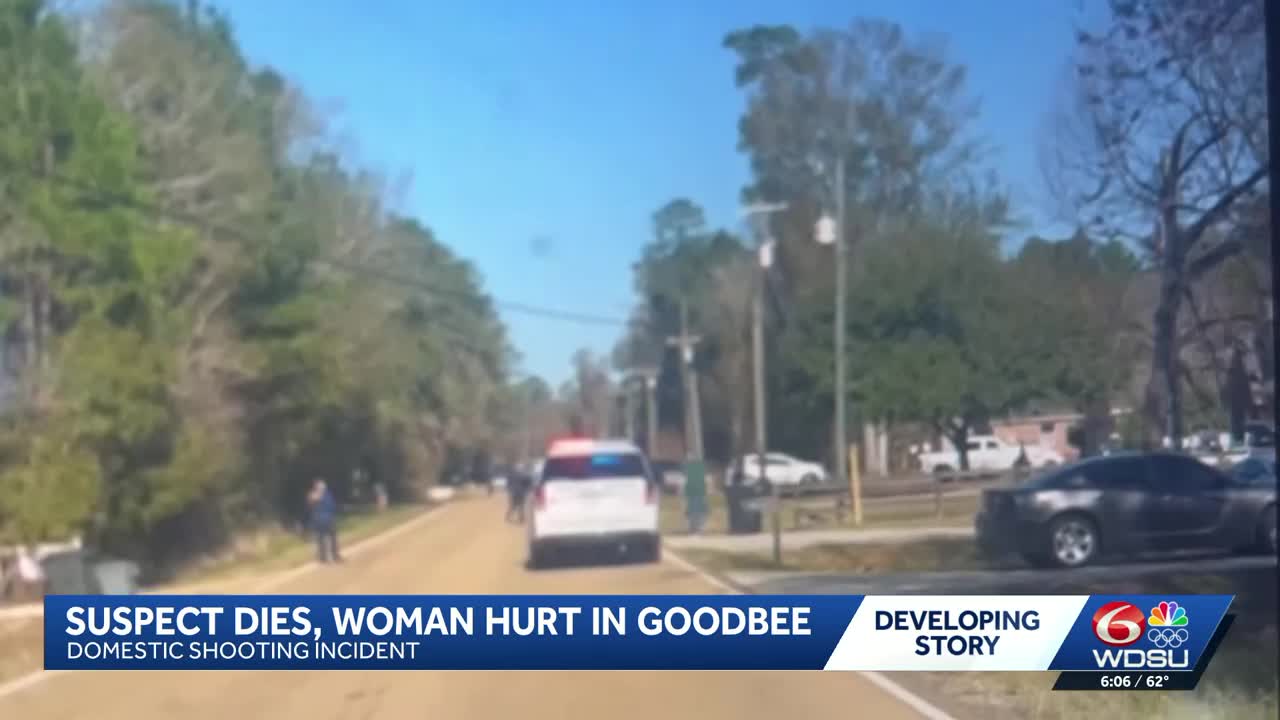 Goodbee domestic violence situation