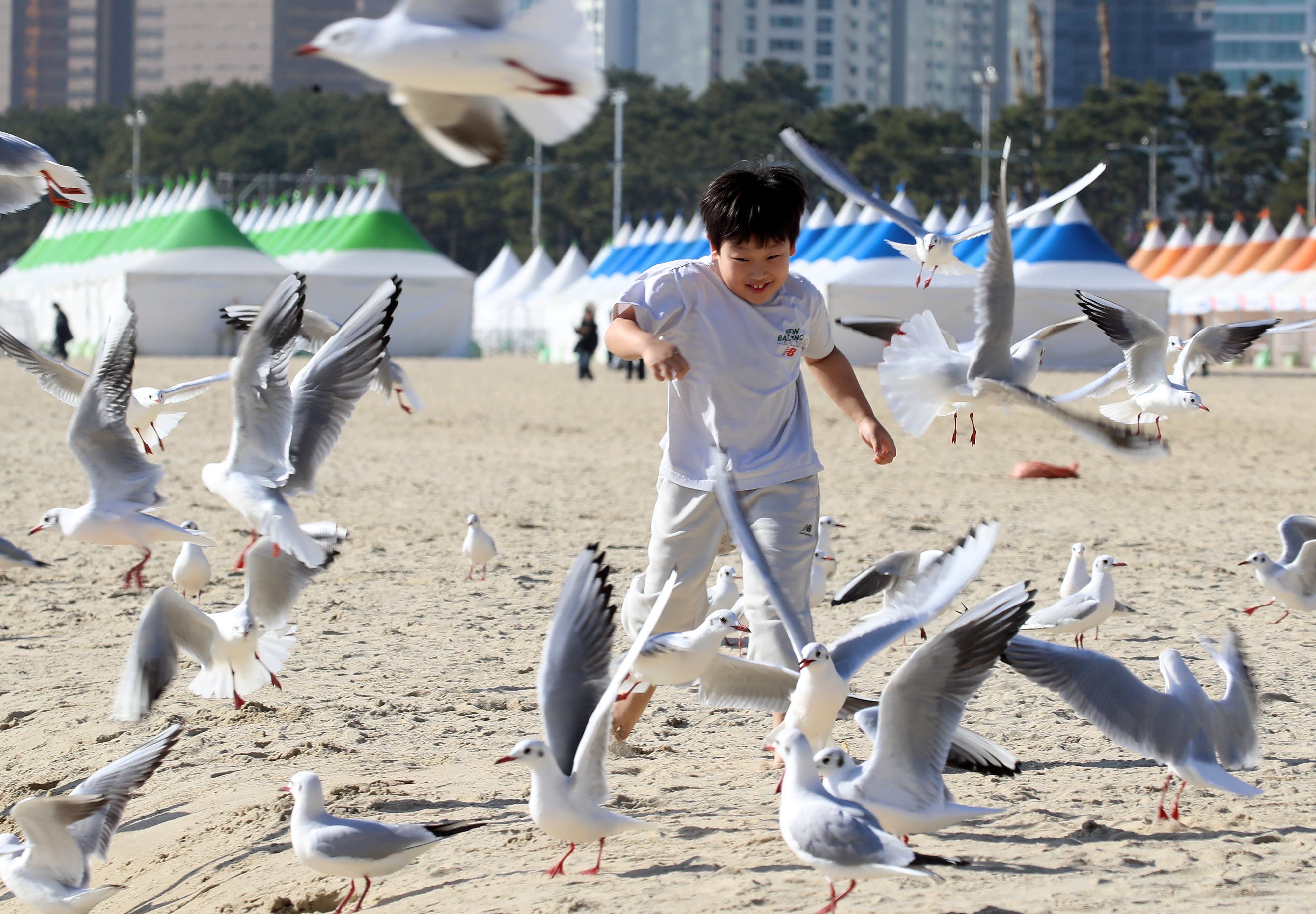 Mild weekend weather as air quality improves Saturday afternoon