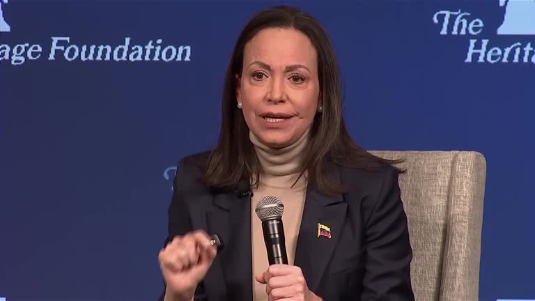 Venezuela opposition leader sees eventual elections but cautions road ahead