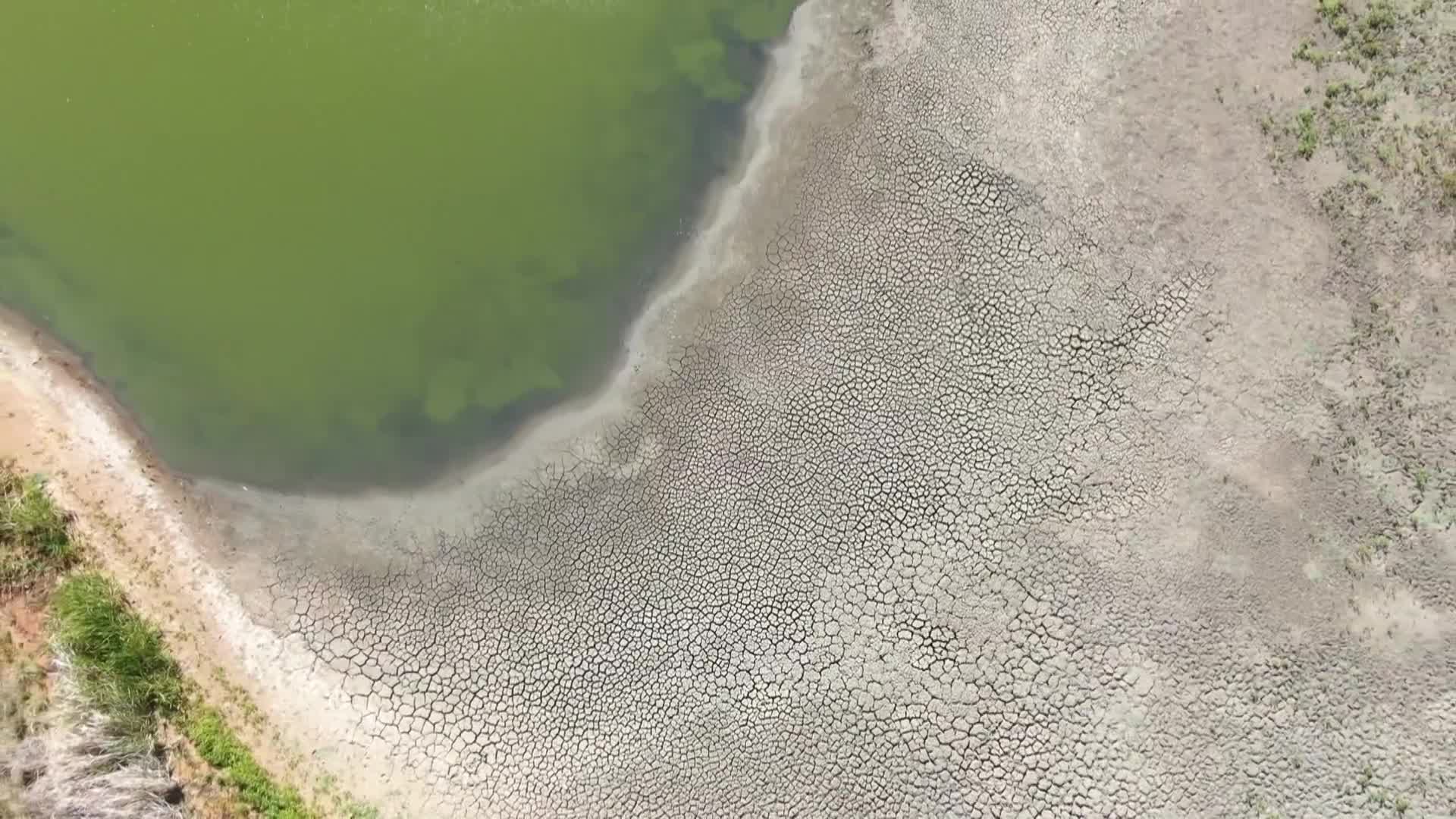 Outback lake home to hundreds of animals set to run dry in 130-year first