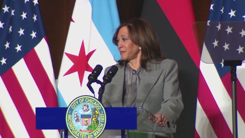 Former Vice President Kamala Harris speaks at MLK event in Chicago