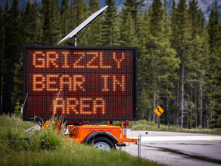 "It is a really different environment in the winter" - backcountry ...