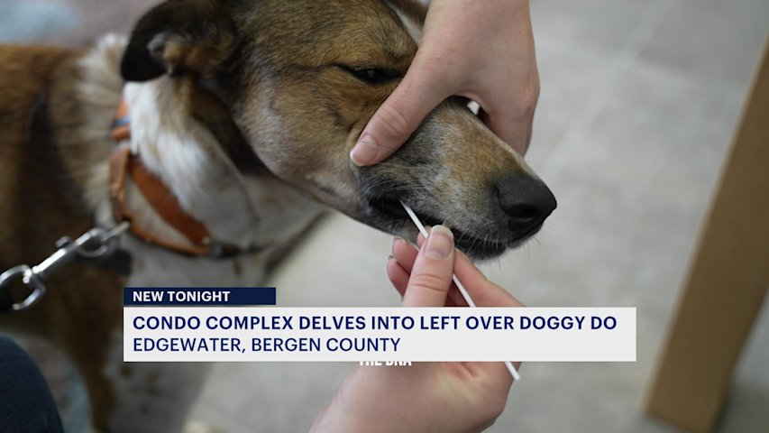 NJ condo uses dog DNA to track owners who don't pick up after their pets