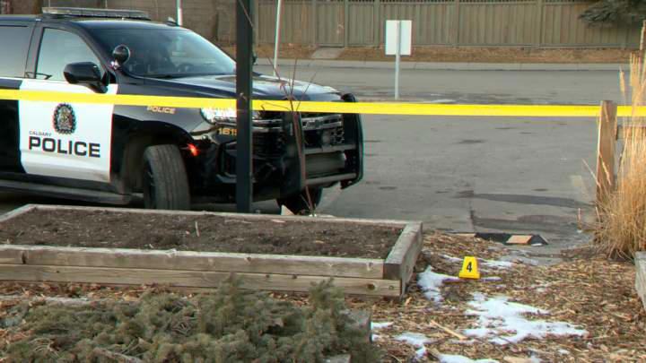 Calgary police investigating stabbing outside southwest high school