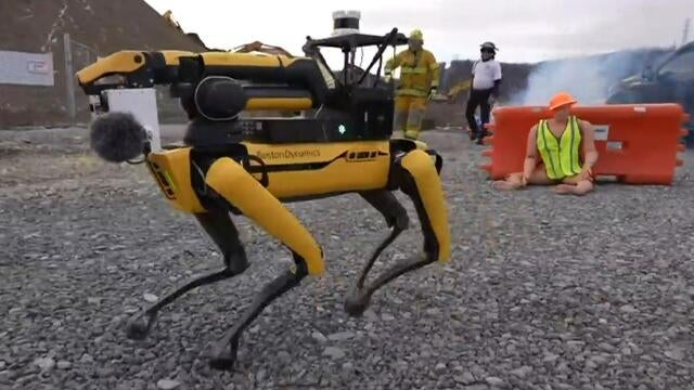 Robot 'dogs' sniff out places too dangerous for humans
