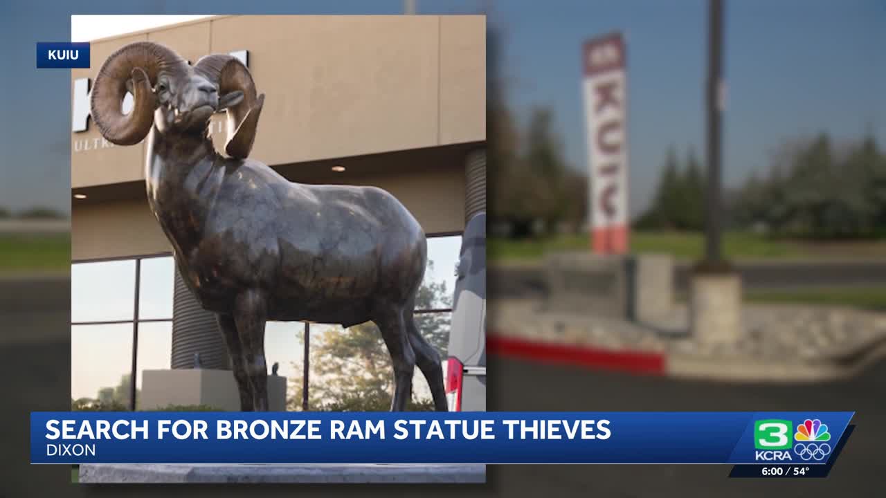 Theft of bronze ram statue at Dixon store is caught on video