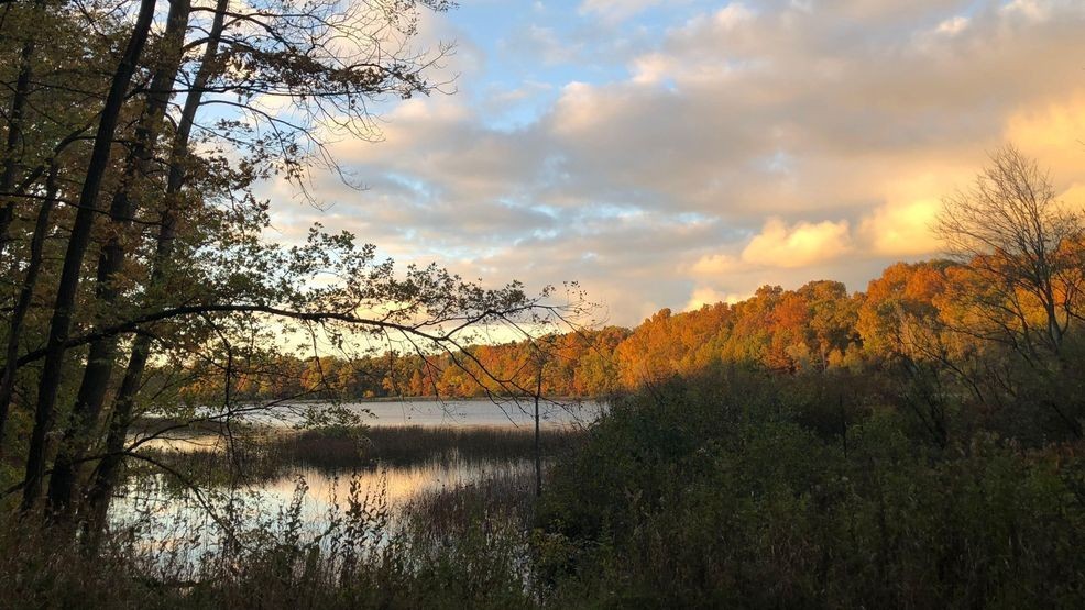 Kalamazoo County and WMU explore transfer of Asylum Lake Preserve ...
