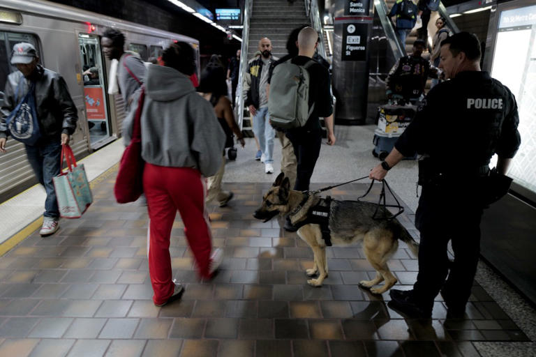 Outrage as LA Metro deploys social workers to fight rampant crime ...