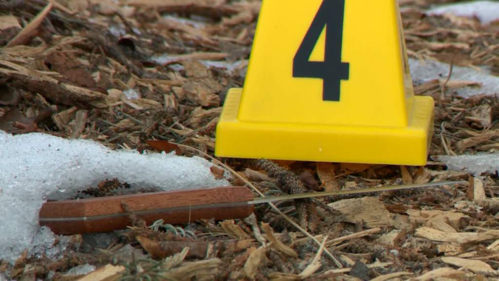 Calgary police investigating stabbing outside southwest high school