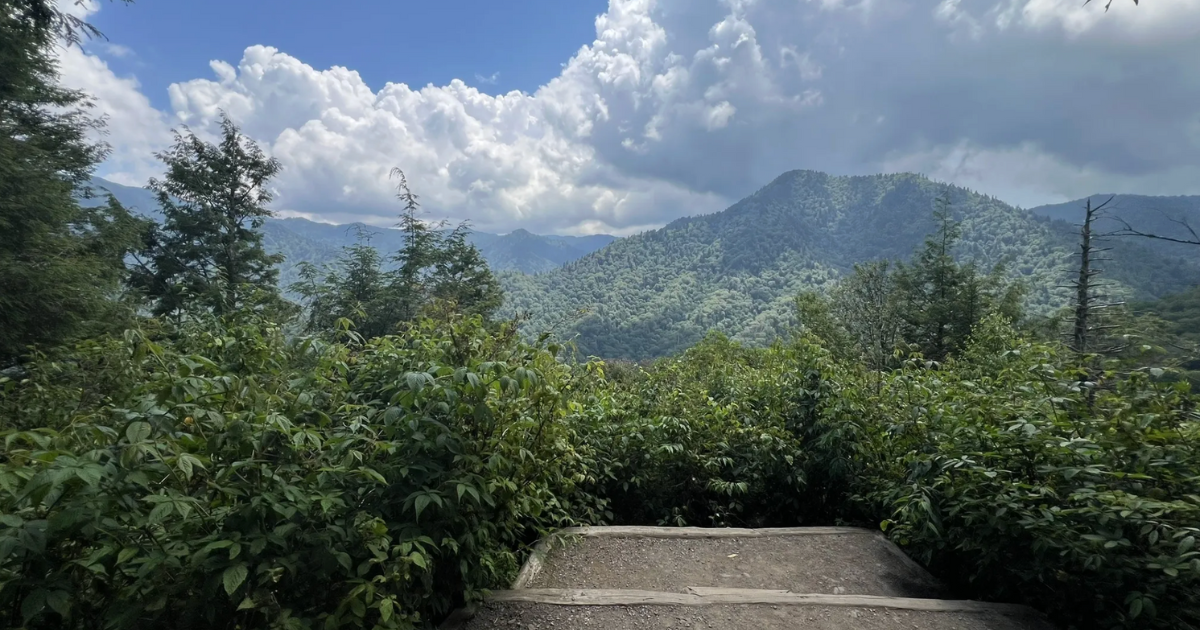 Don't try this one hike in Tennessee if you're afraid of heights