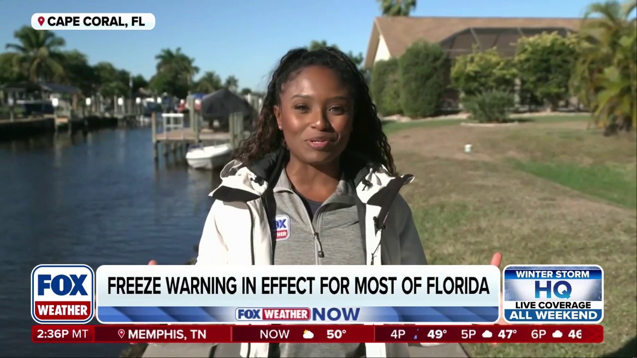 On the hunt: FOX Weather field correspondent Brandy Campbell is on the ...