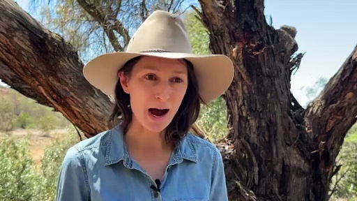 Outback lake home to hundreds of animals set to run dry in 130-year first
