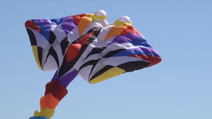 Cold doesn’t stop hundreds from attending Treasure Island Kite Festival