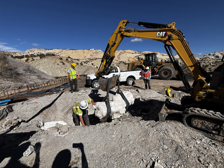 New fossils discovered during construction project at Dinosaur National ...