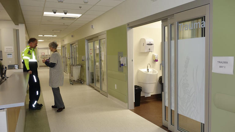 Yukoner says he found repeated errors in his patient records while ...