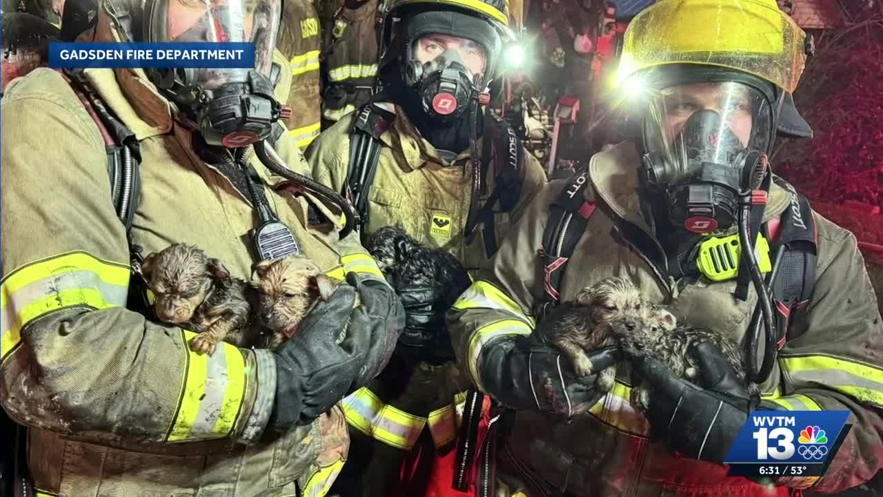Firefighters save 6-week-old puppies from house fire in Gadsden