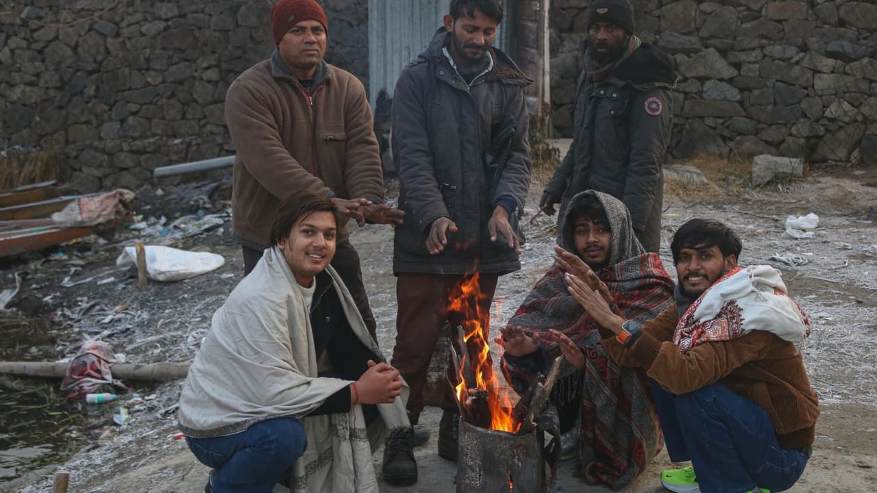 Prayagraj weather latest update: Cold wave, fog alert issued; check ...