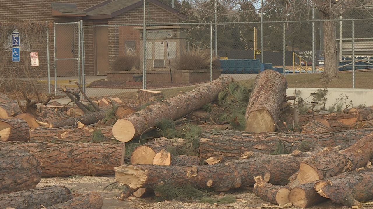 Rapid City braces for second major windstorm as debris cleanup continues