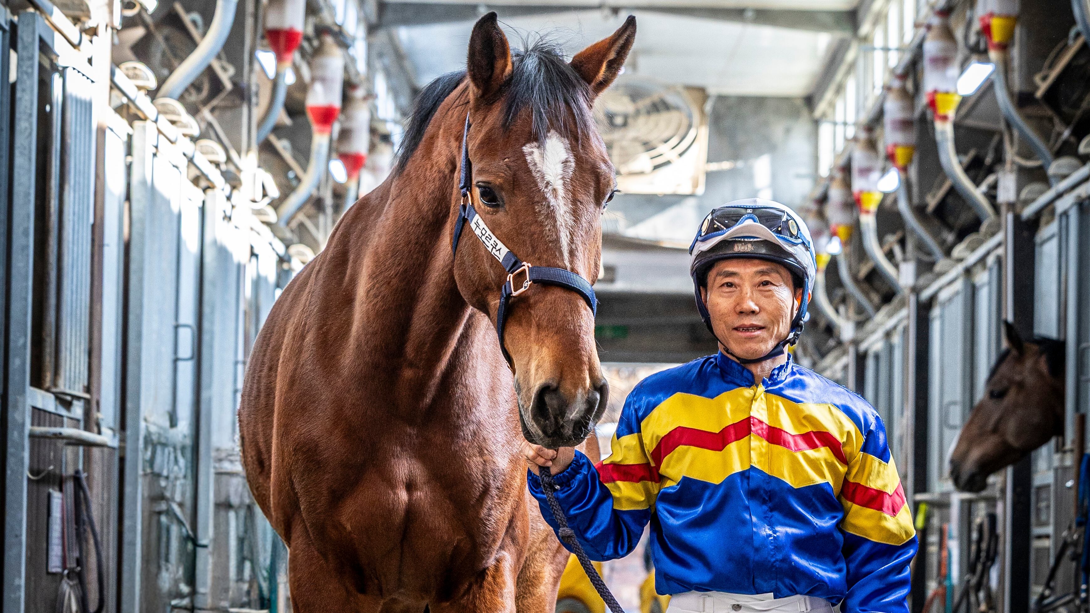 South Korea's 'president of horse racing' retires after 39 years