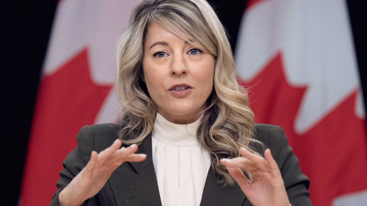 'Eyes wide open': Minister's answer on Canadian journalists carrying ...