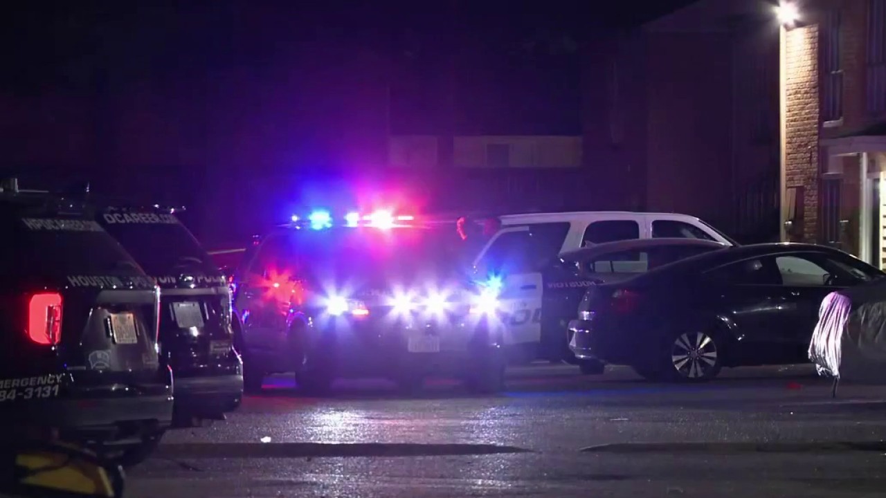 Woman shot in Houston apartment, dies at hospital