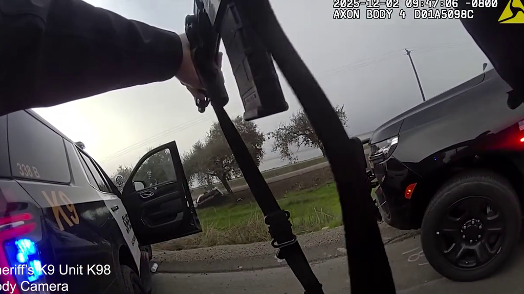 Video shows shooting that killed former Sacramento deputy after Elk ...