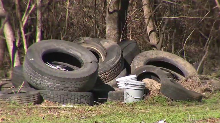 Piles of tires and junk: Britt Road neighbors demand action on Douglas ...