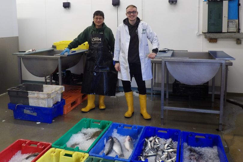 I live in popular Devon spot - winter is the best time to visit for 1 ...