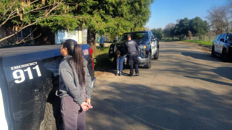 North Highlands man arrested for stealing, hiding meat in pants