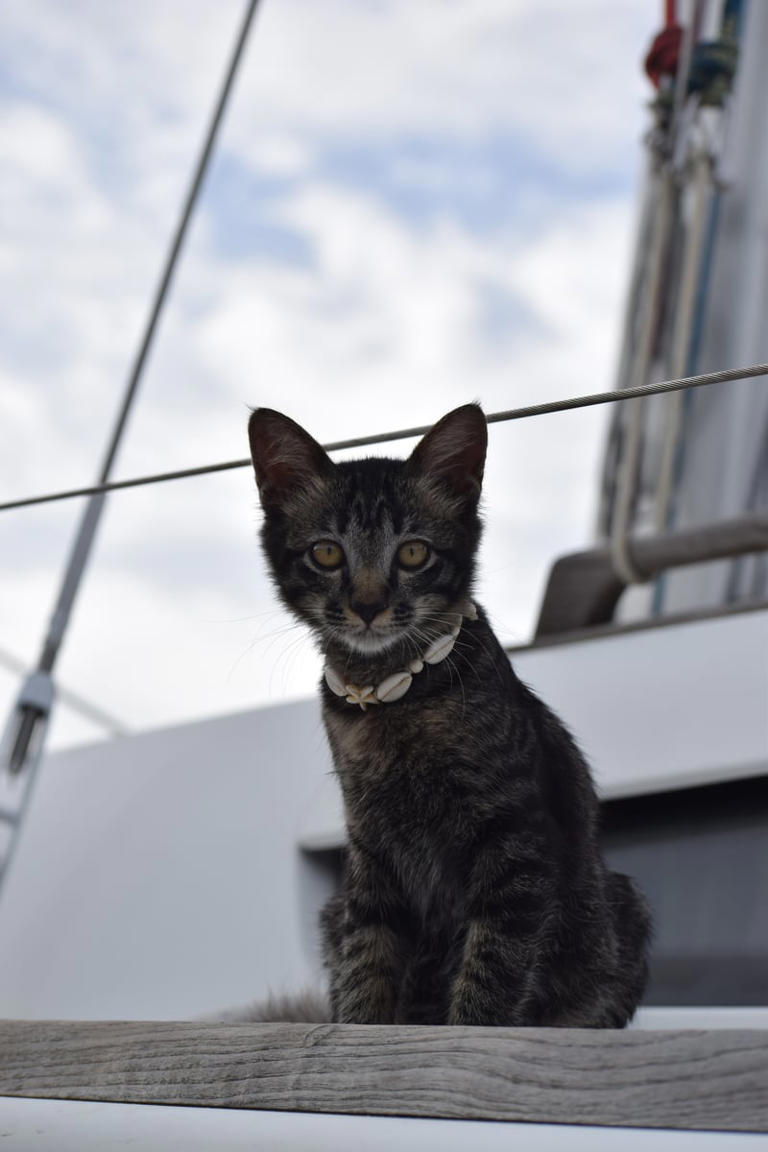 I was just a broke backpacker travelling Australia. Then one choice ...