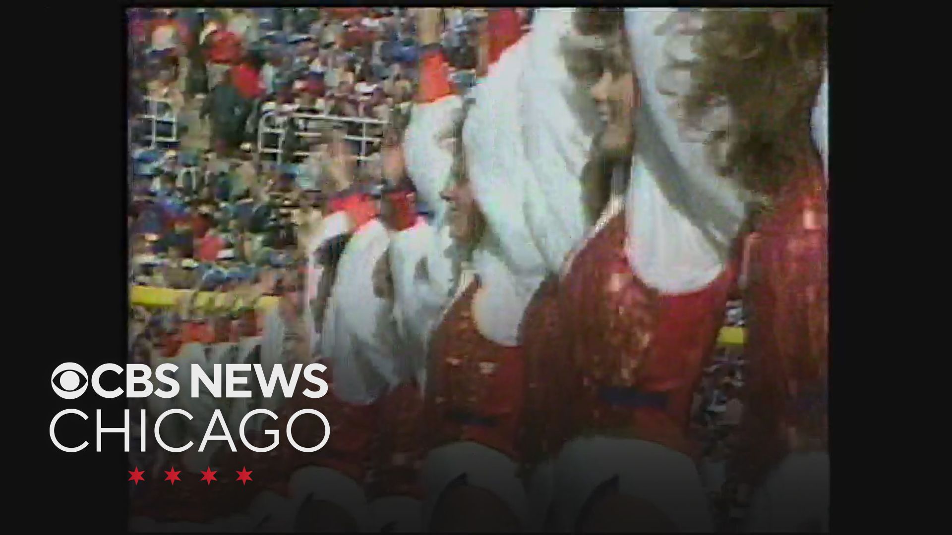 Is the "Curse of the Honey Bears" behind Chicago's Super Bowl drought?