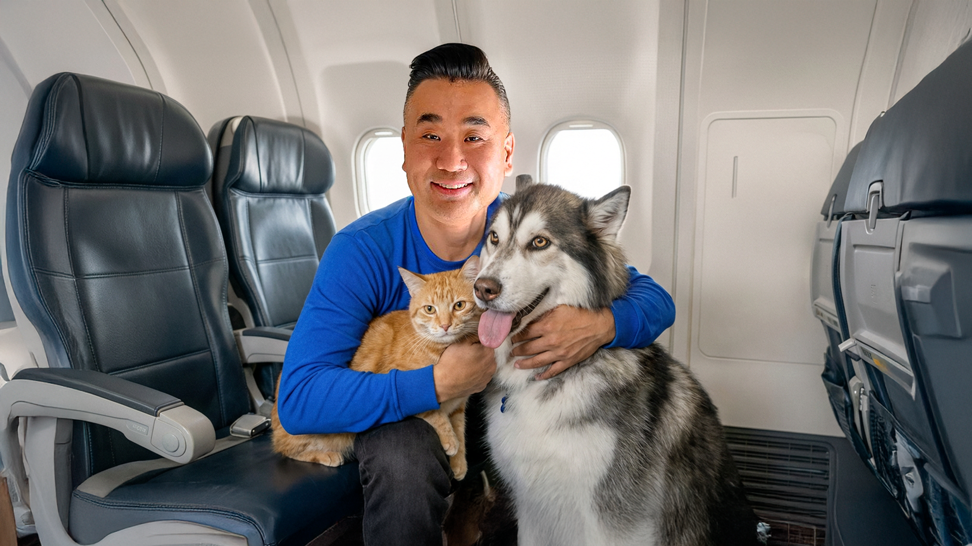 Discover the ultimate pet-friendly flight!🐾