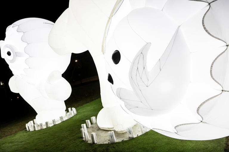 Largest winter festival in US brightens cold Michigan nights with ...