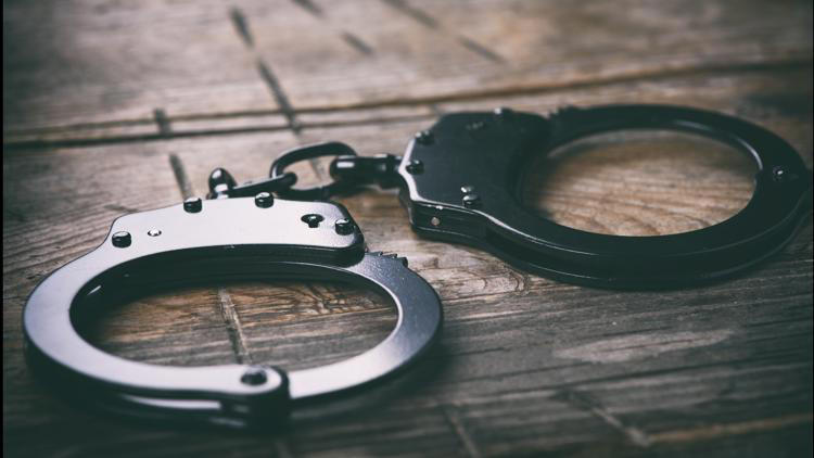 Theft suspect in critical condition after being tased during ...