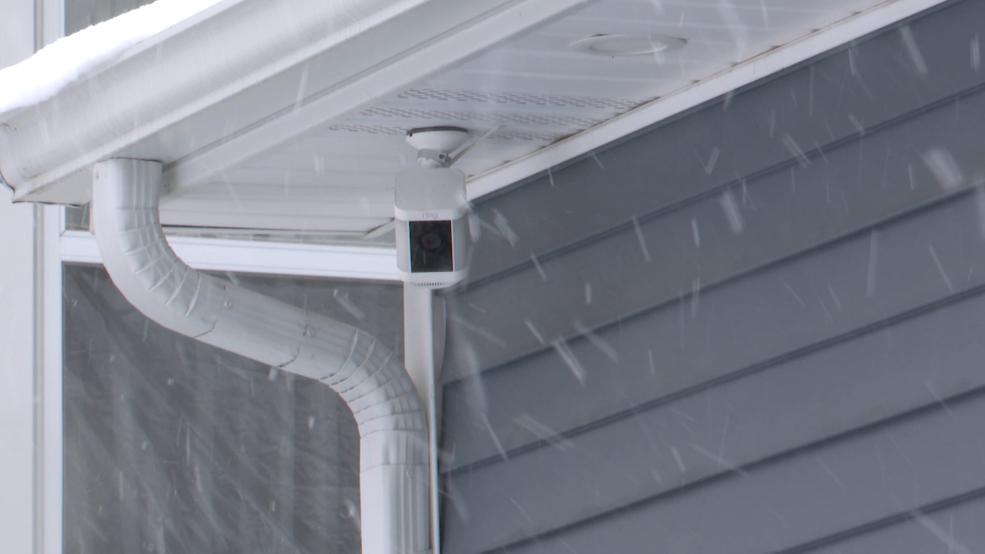 Jackson businesses react to the city’s security camera program