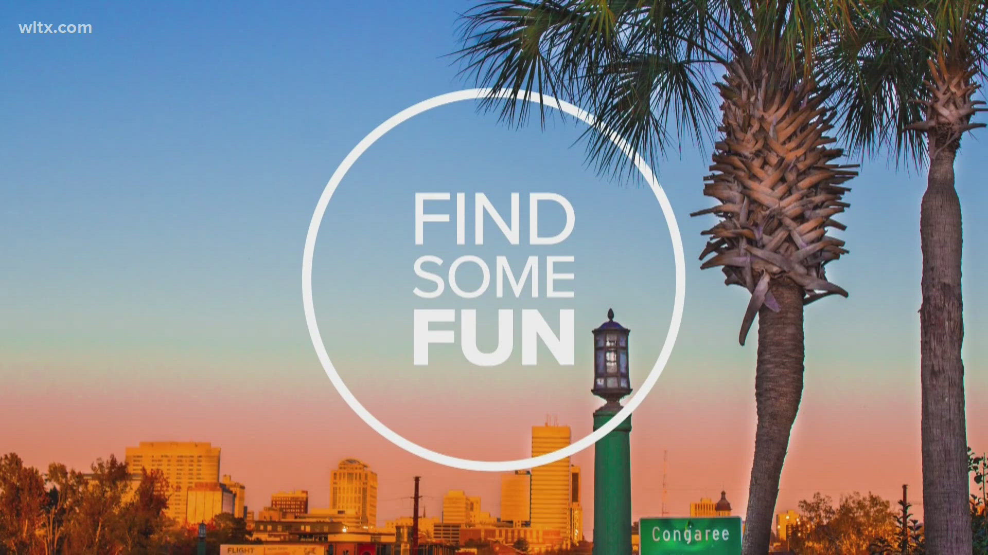 Find Some Fun: January 17 and 18th