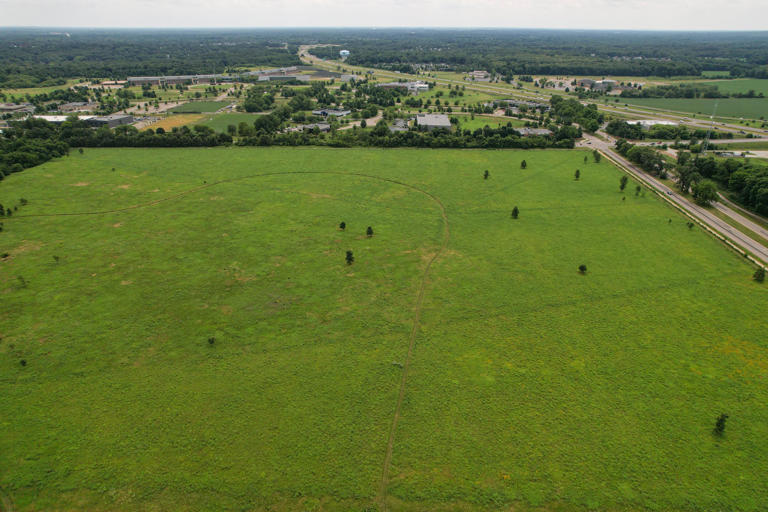 Asylum Lake Preserve management may be transferred to Kalamazoo County