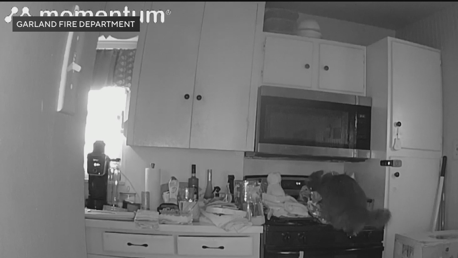 Garland stove-top fire sparks safety reminder